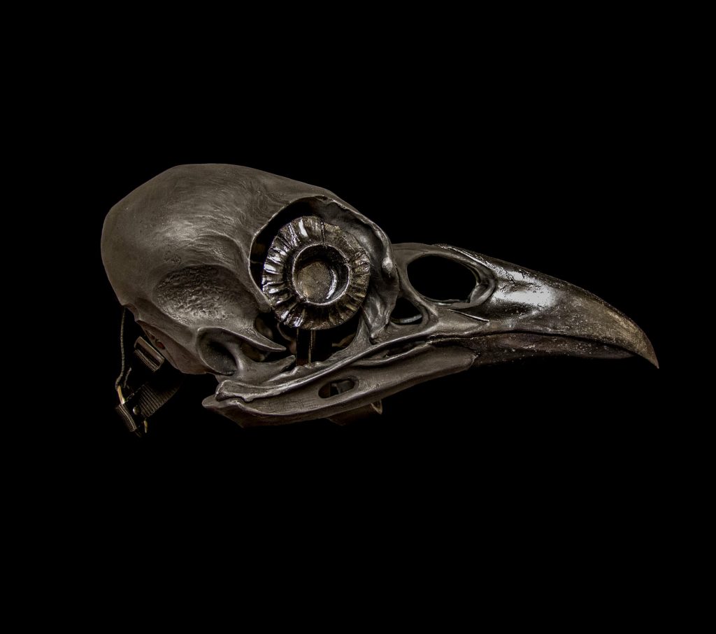 Crow Skull Mask Black - Ministry of Masks