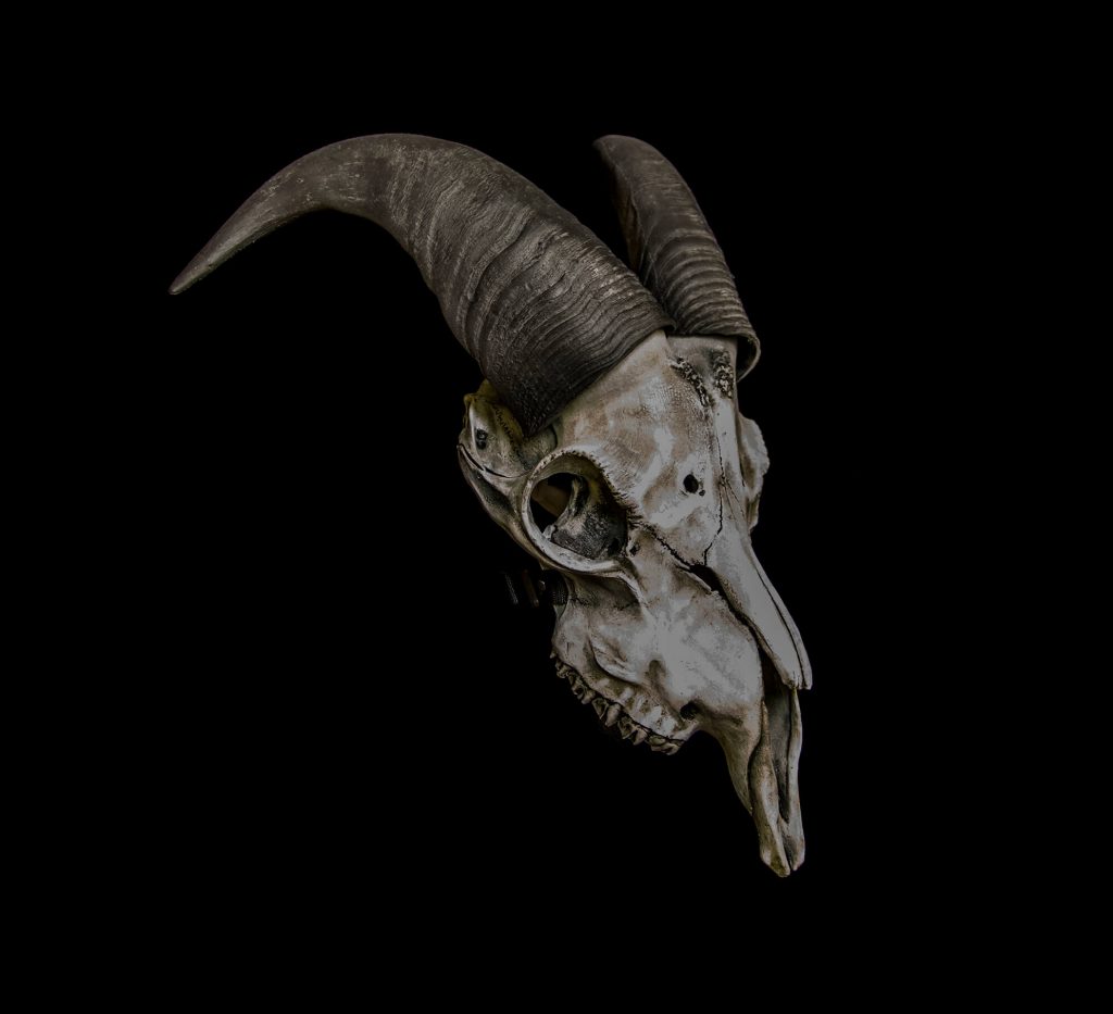 Goat Skull Baphomet Mask - Ministry of Masks